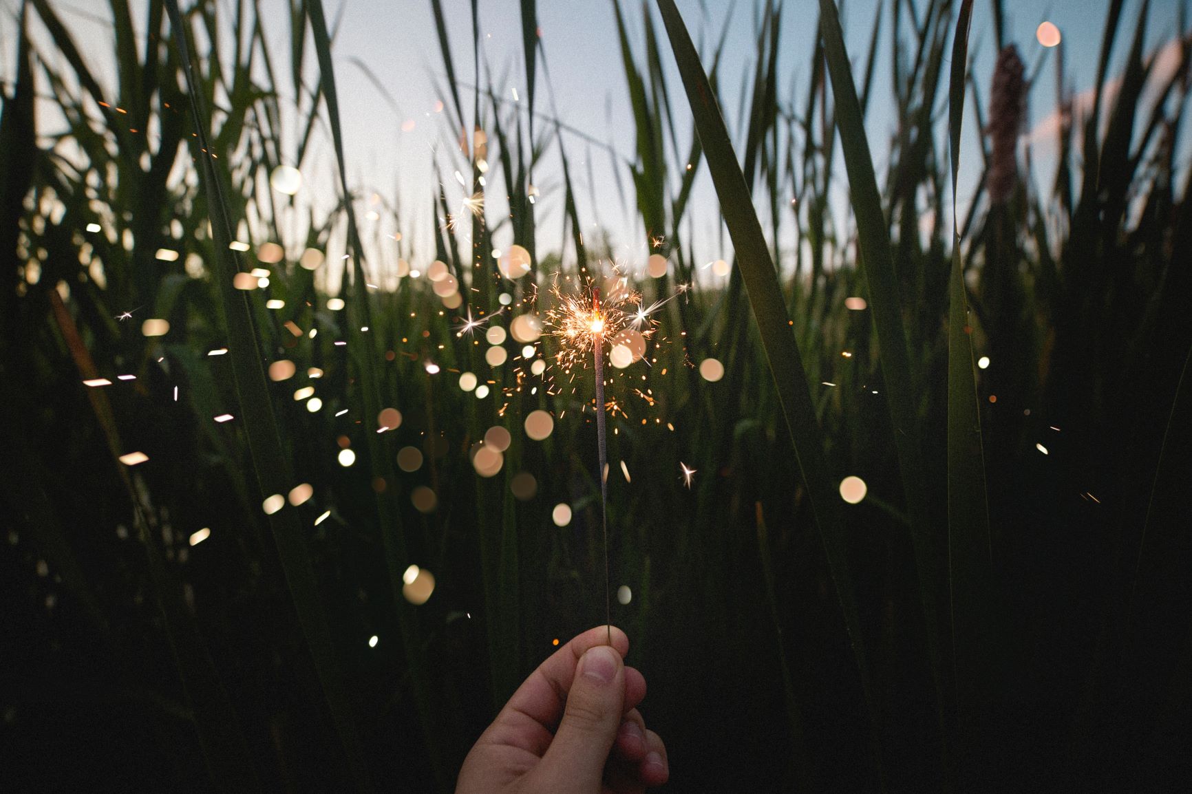 Foresight = Data + Intuition + Research + Creativity - TFSX