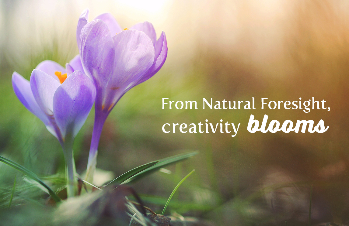 How Creativity Grows from Natural Foresight® - TFSX