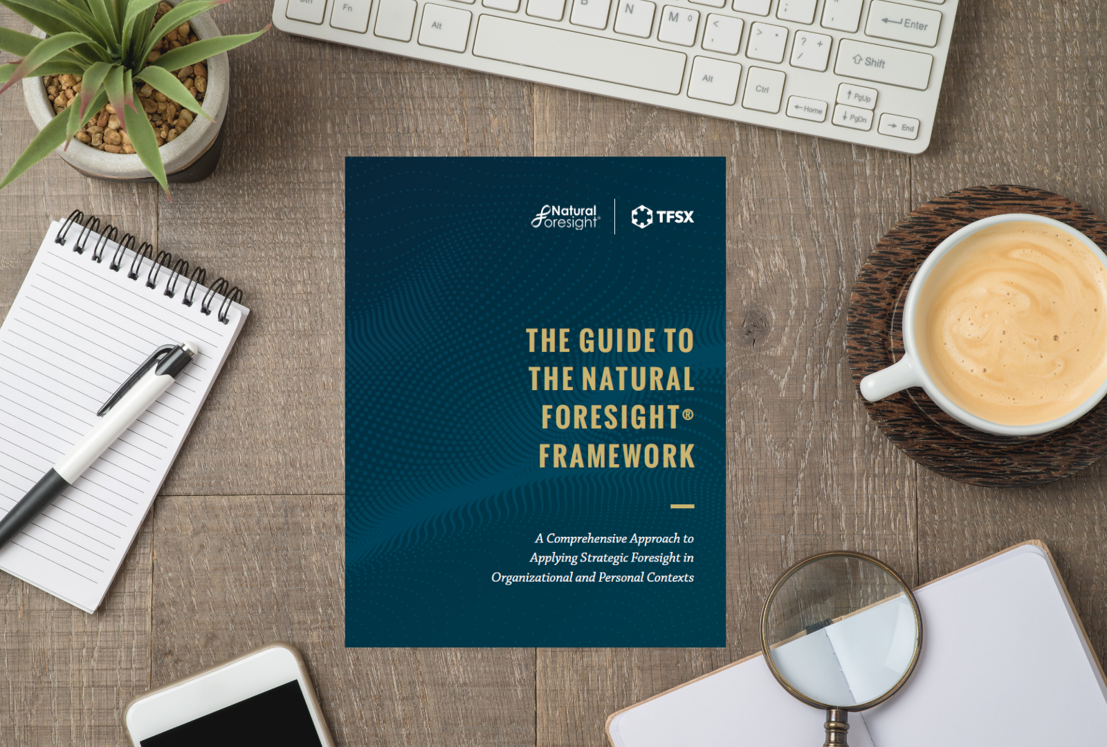 The Guide to the Natural Foresight® Framework - TFSX