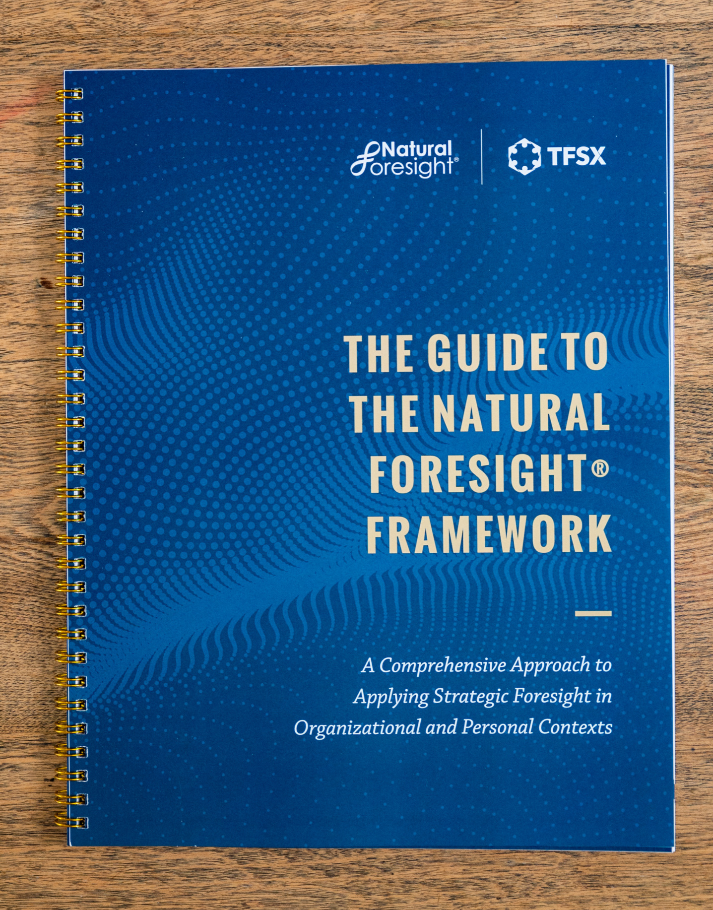 The Guide to the Natural Foresight® Framework - TFSX